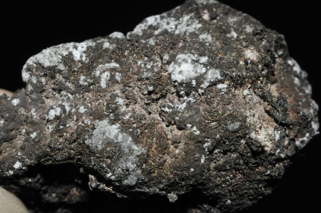 Native Mexican silver (ex Deyrolle)