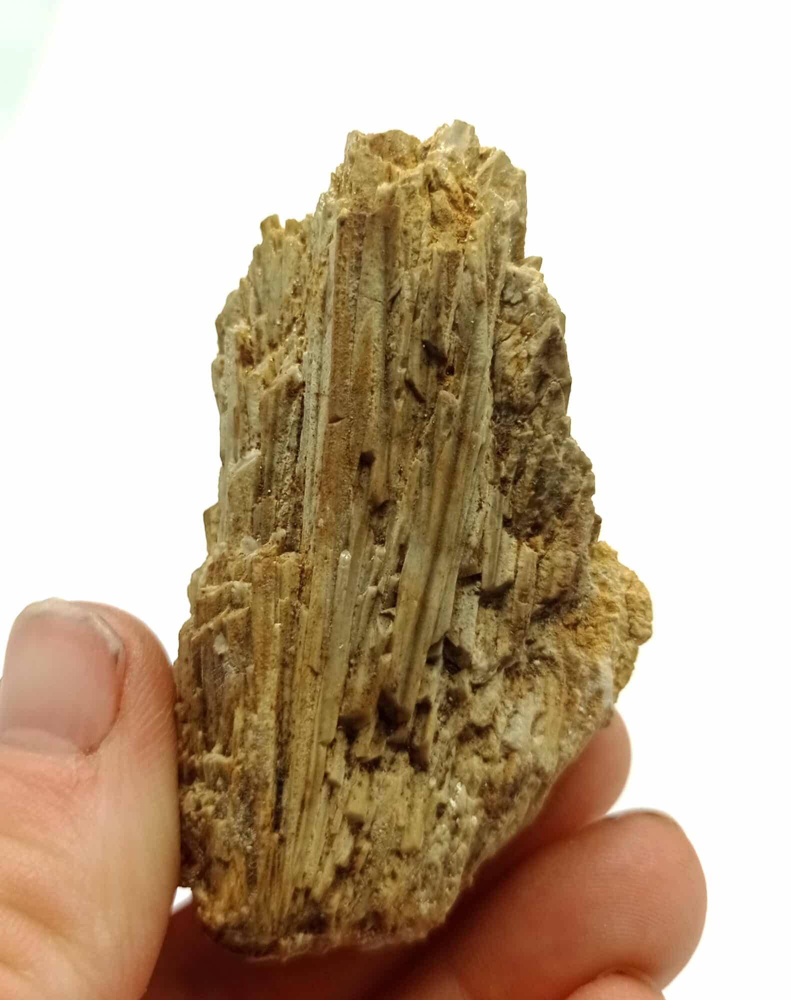 Historic minerals from the Bally Museum in Schönenwerd, Switzerland.