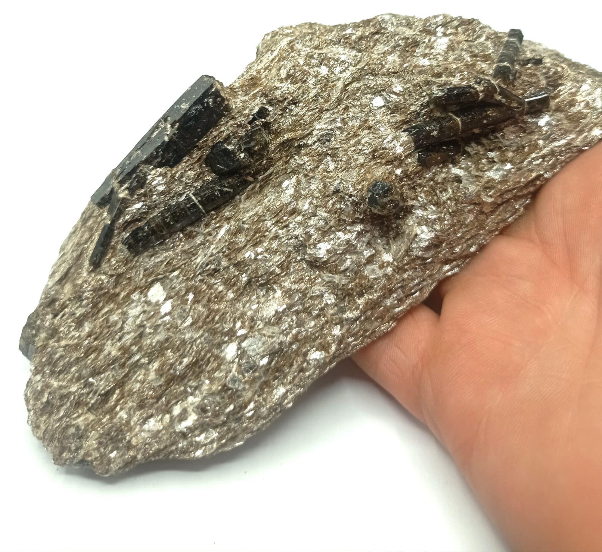 Dravite (Tourmaline), Val d'Ossola, Italy.