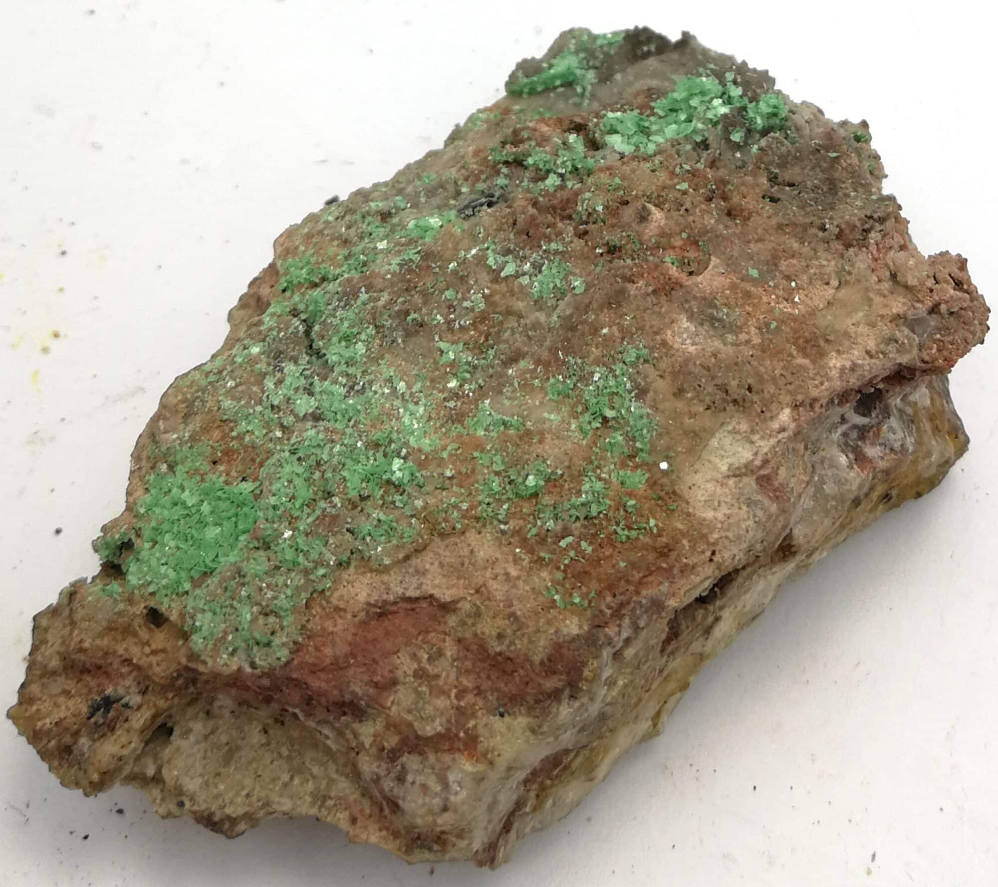 Chalcolite (torbernite), Gunnislake, Cornwall, UK.