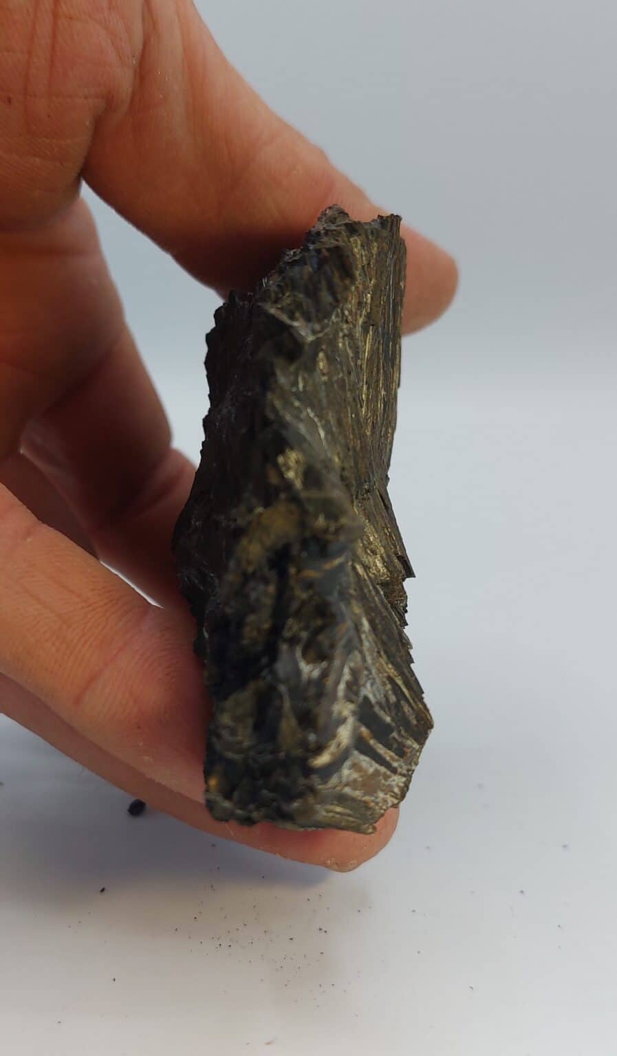 Ludwigite, Brosso, Piedmont, Italy.