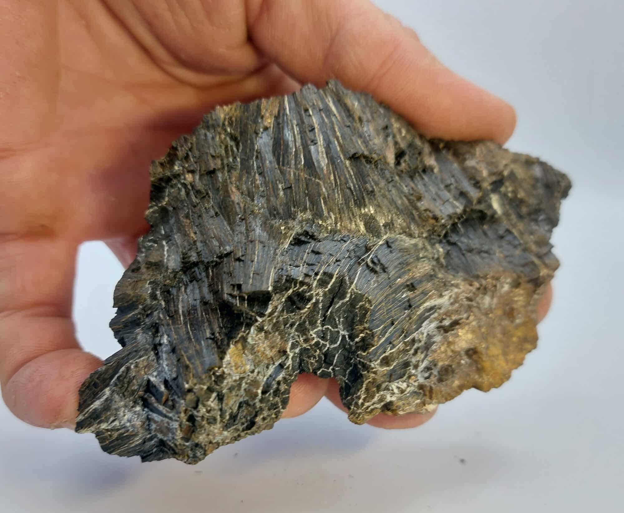 Ludwigite, Brosso, Piedmont, Italy.