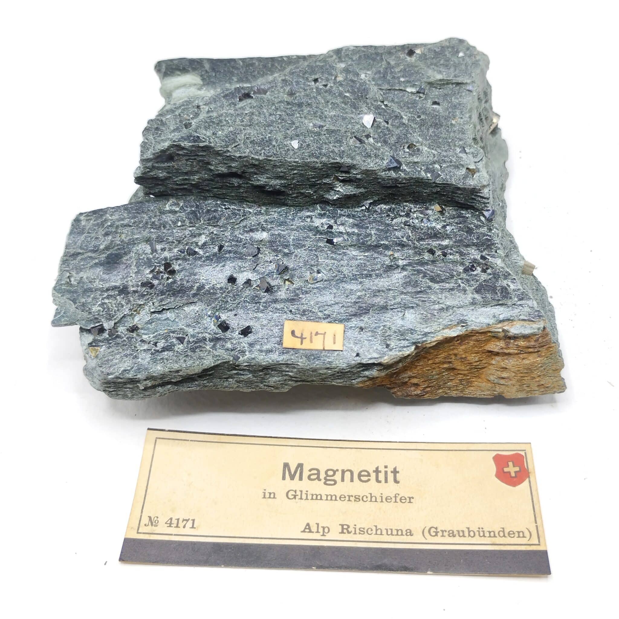 Magnetite & Pyrite, Alp Rischuna, Vals, Switzerland.