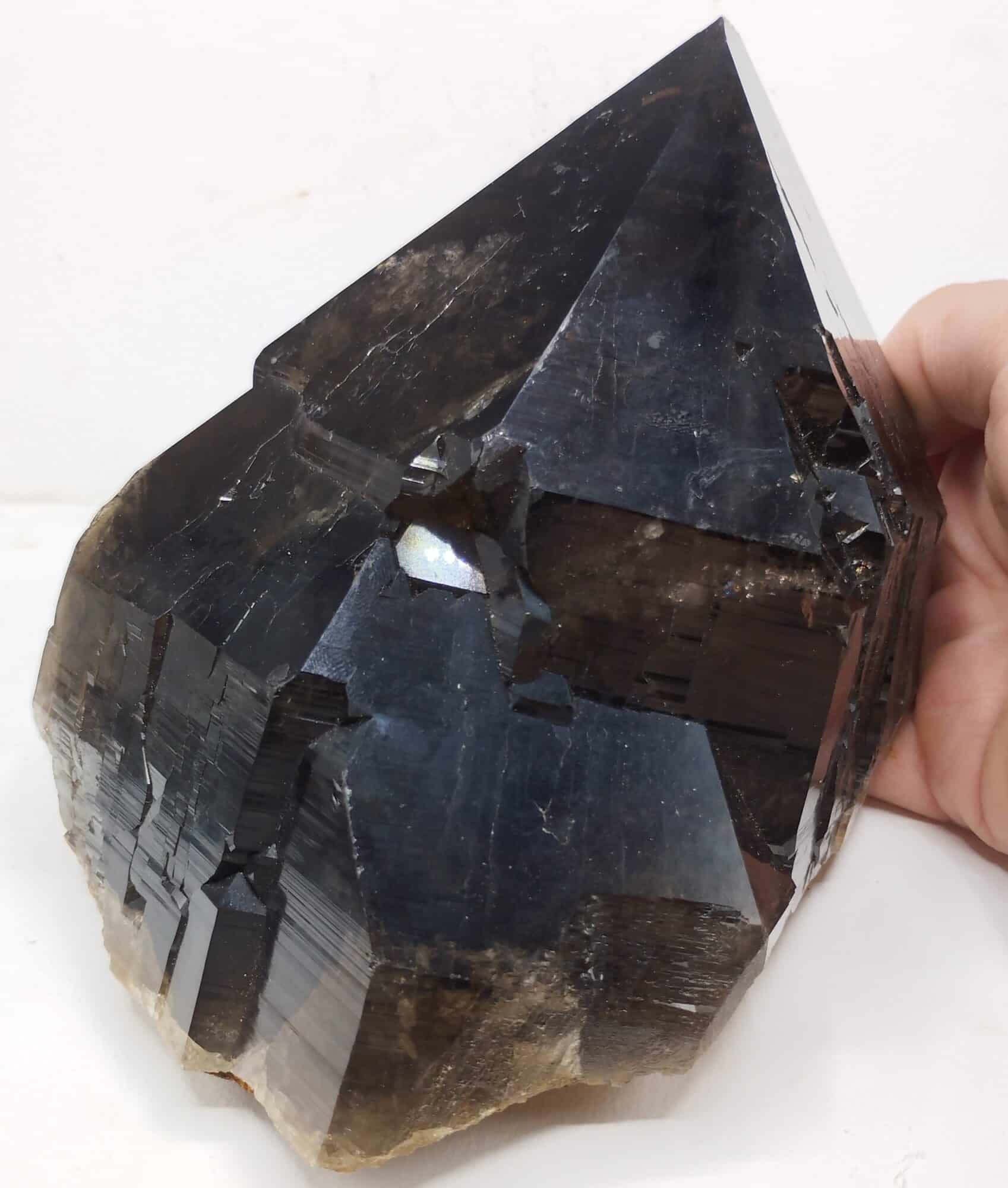 Smoky quartz, Chamonix, Mont Blanc massif, Haute-Savoie.
