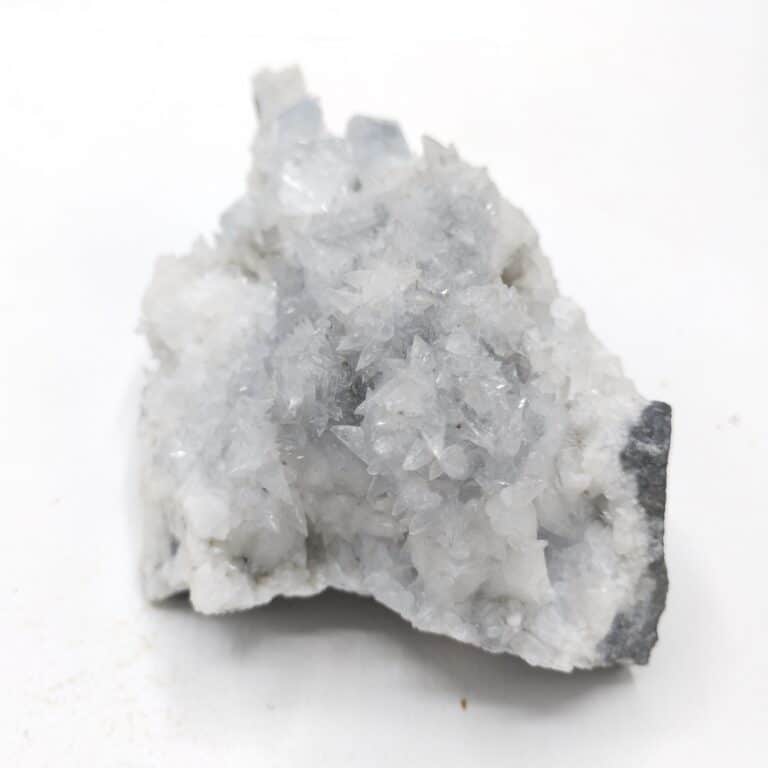 Célestine, La Reuchenette, Jura, Switzerland.