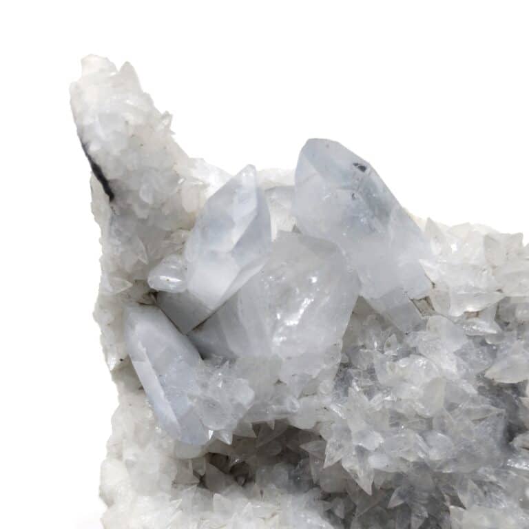 Célestine, La Reuchenette, Jura, Switzerland.