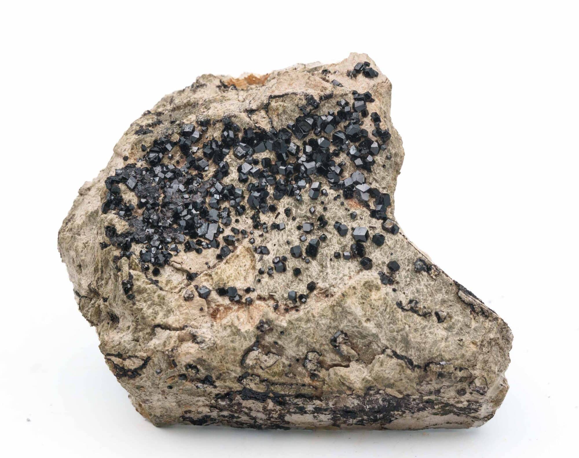 Garnet var Melanite, San Benito Co., California, USA.