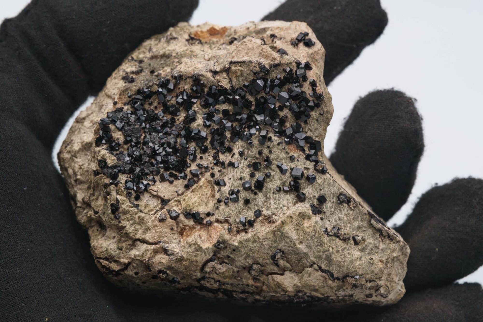Garnet var Melanite, San Benito Co., California, USA.