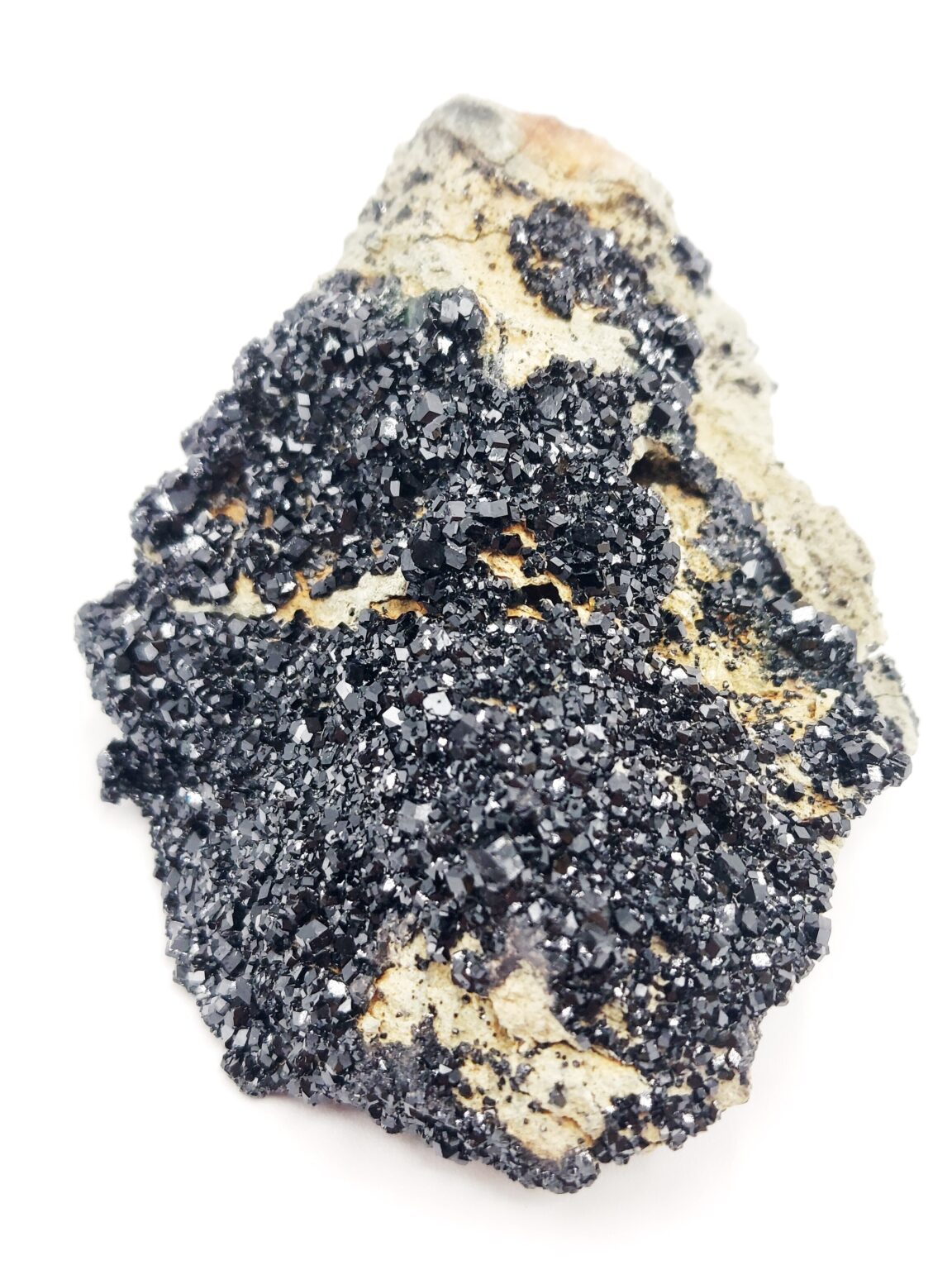 Melanite garnet, San Benito, California, USA.