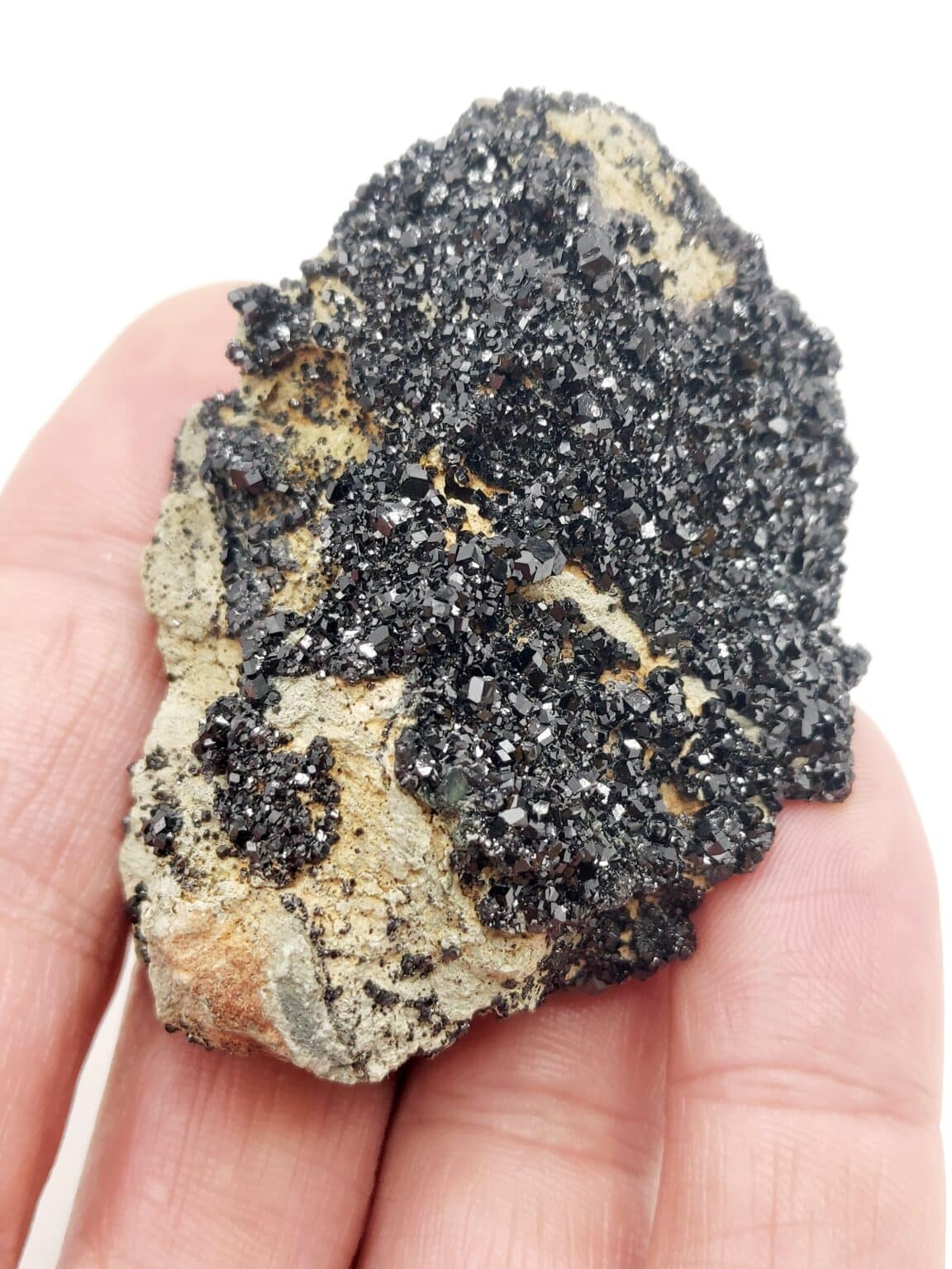 Melanite garnet, San Benito, California, USA.